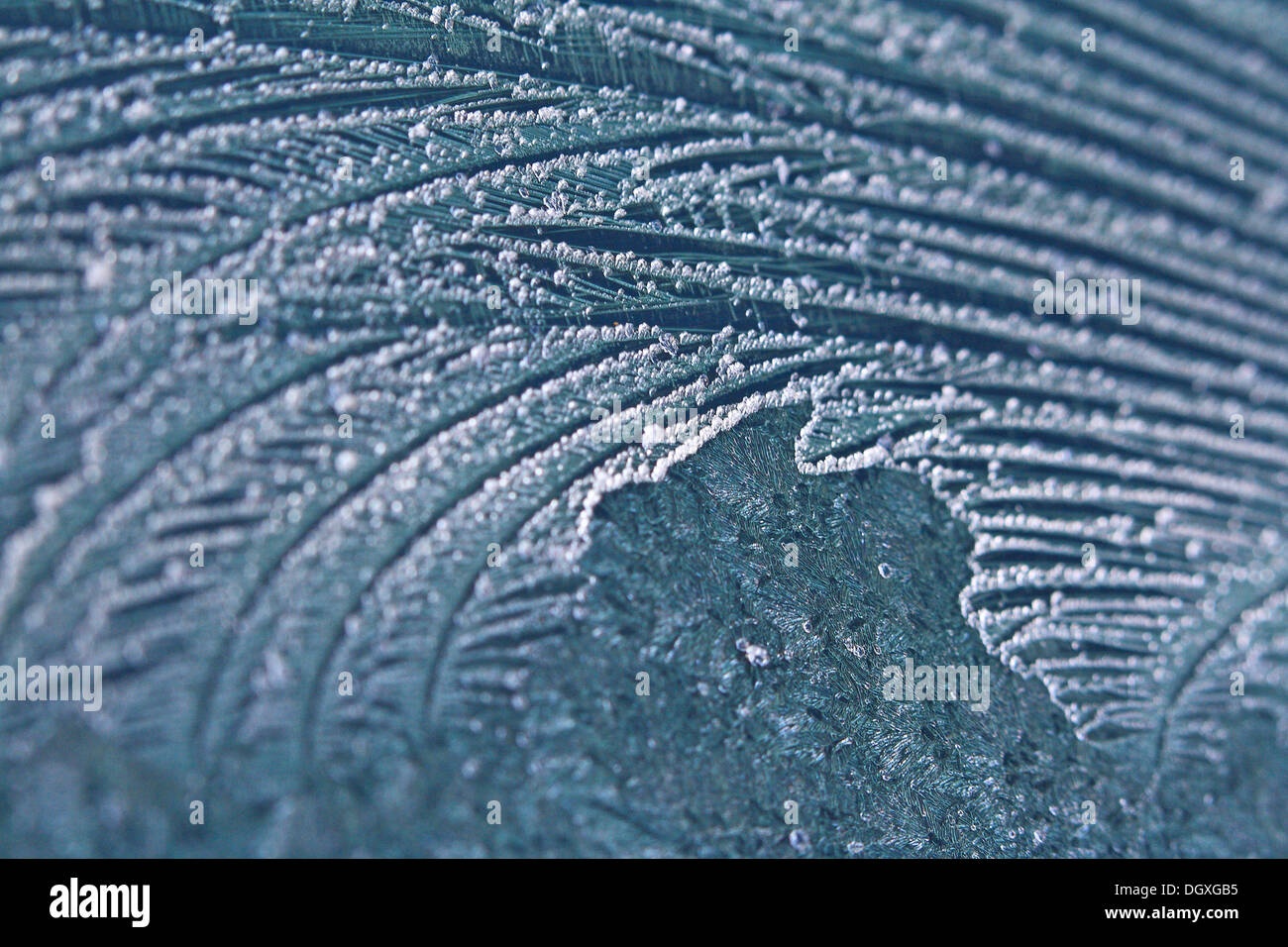 Graphic pattern of ice, frost flowers Stock Photo - Alamy