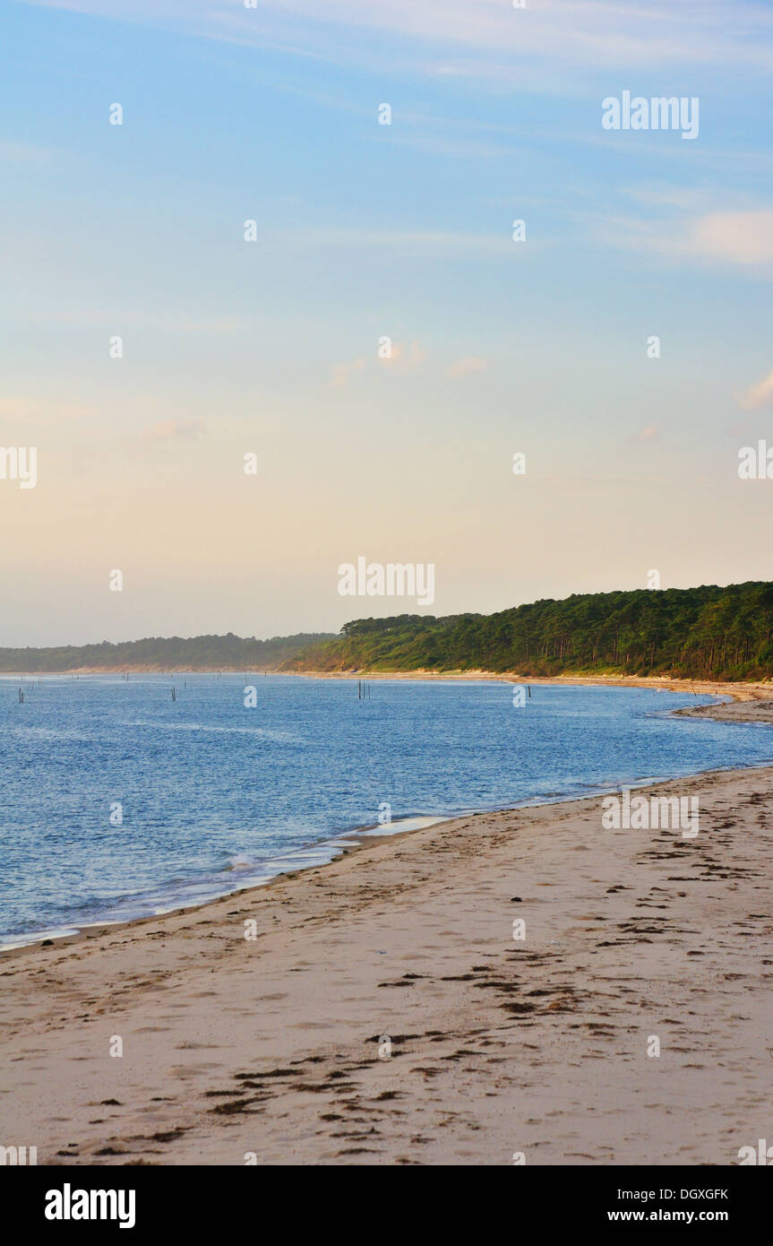 Beach at sunset, Chesapeake Bay, Virginia, USA Stock Photo - Alamy