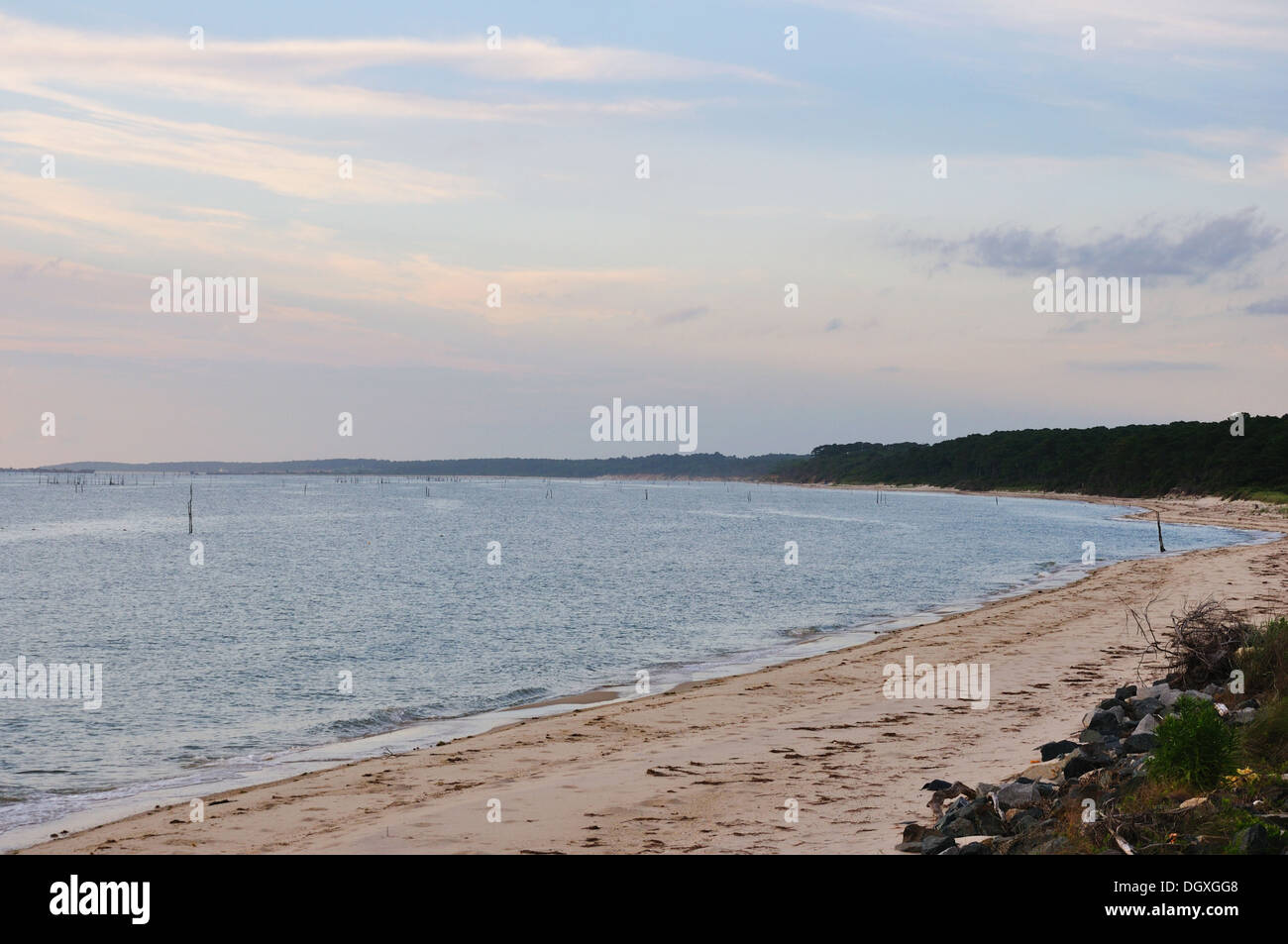 Beach at sunset, Chesapeake Bay, Virginia, USA Stock Photo - Alamy