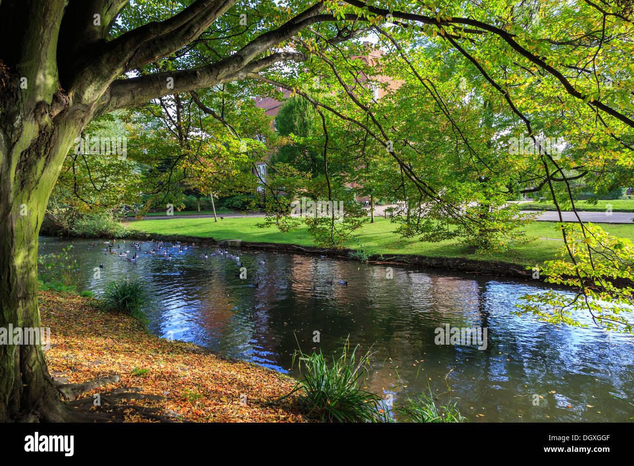 Hertford hertfordshire castle gardens hi-res stock photography and ...