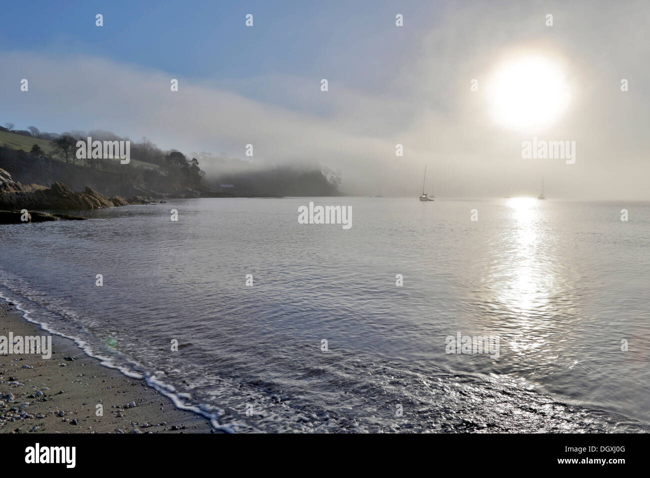 Trebah; Beach; Helford River; Looking Towards Durgan; Cornwall; UK ...