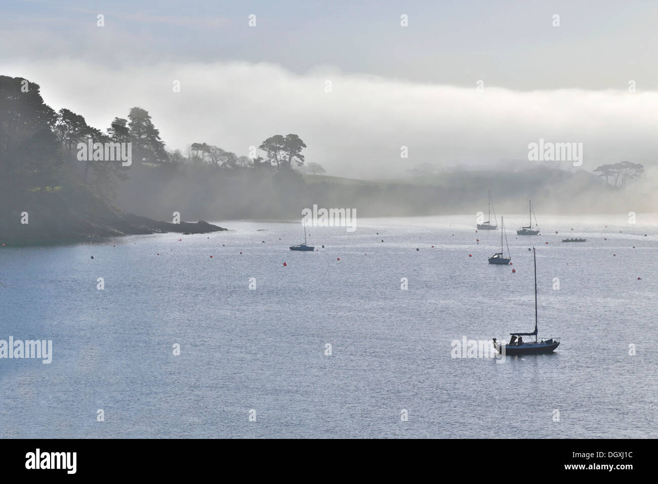 Helford Estuary; From Trebah; Morning; Cornwall; UK Stock Photo - Alamy