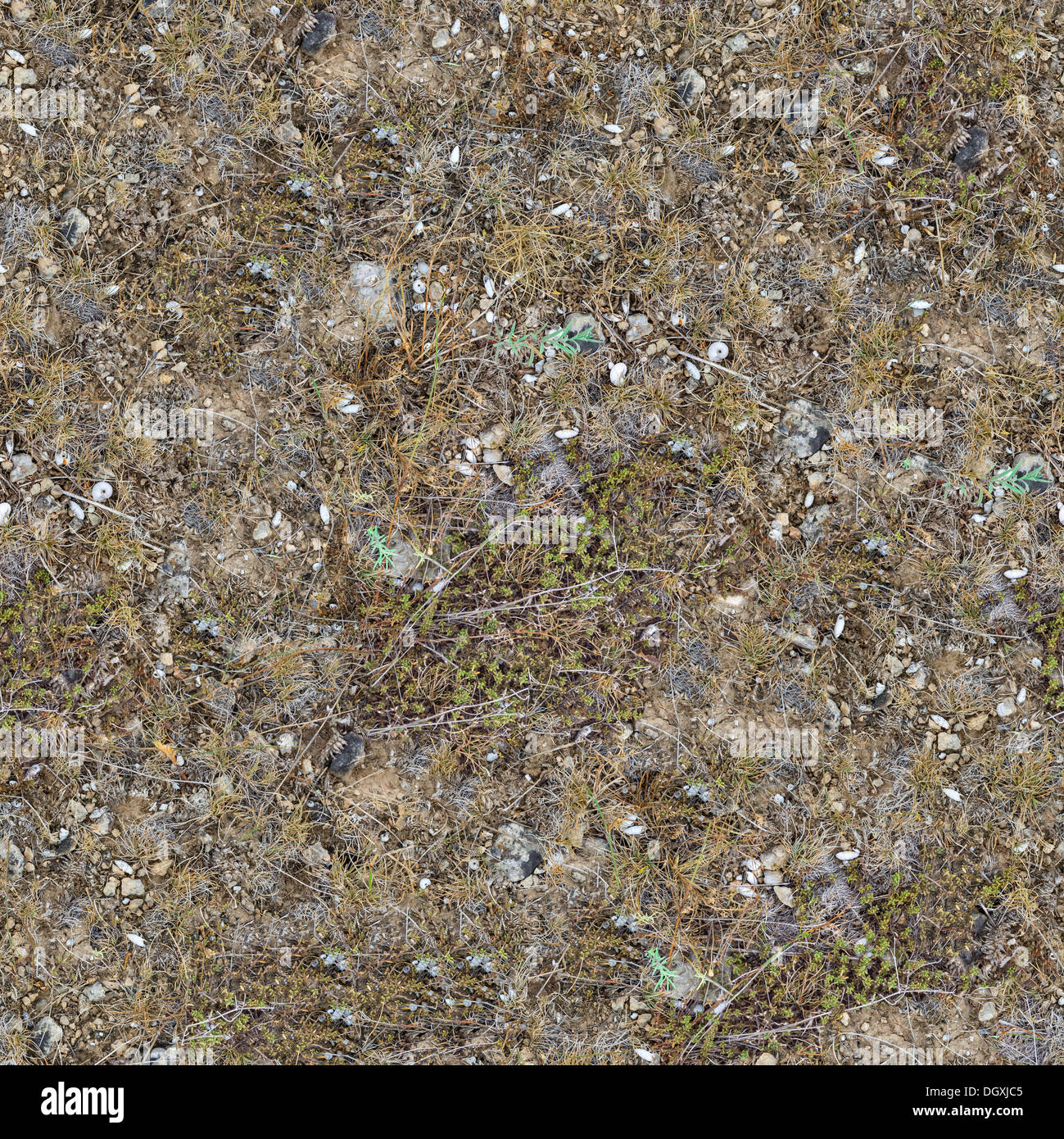 Seamless Texture of Rocky Steppe Soil Stock Photo - Alamy
