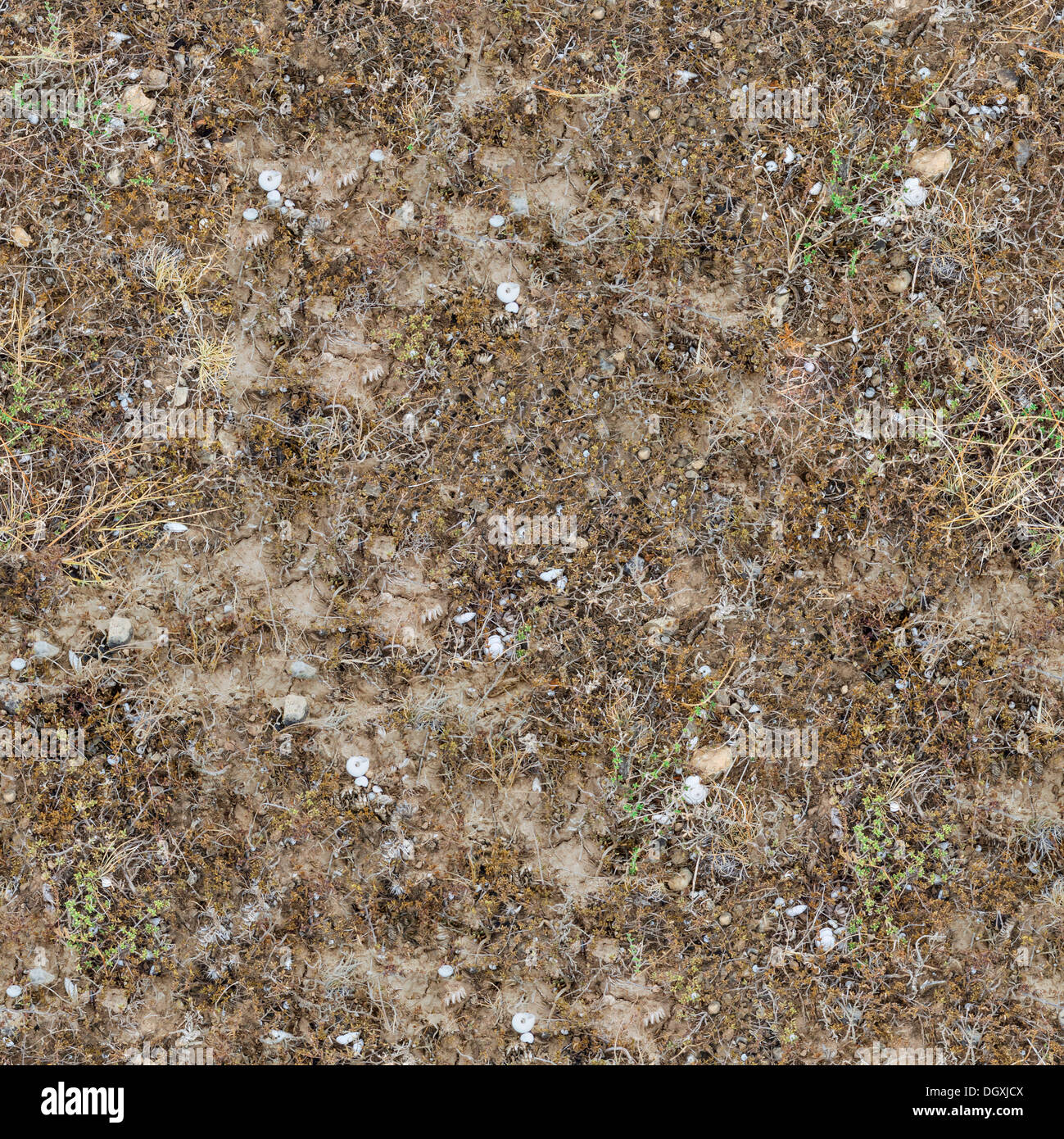 Seamless Texture of Prairie Soils Stock Photo - Alamy