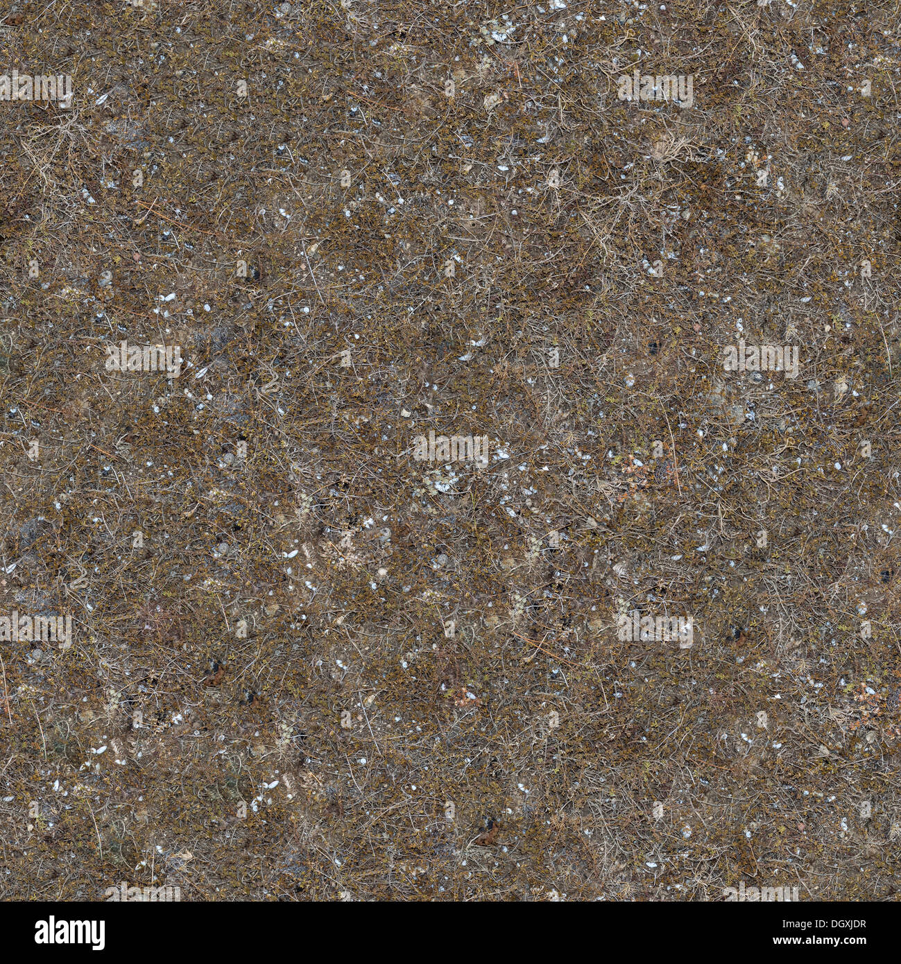 Post apocalyptic texture hi-res stock photography and images - Alamy