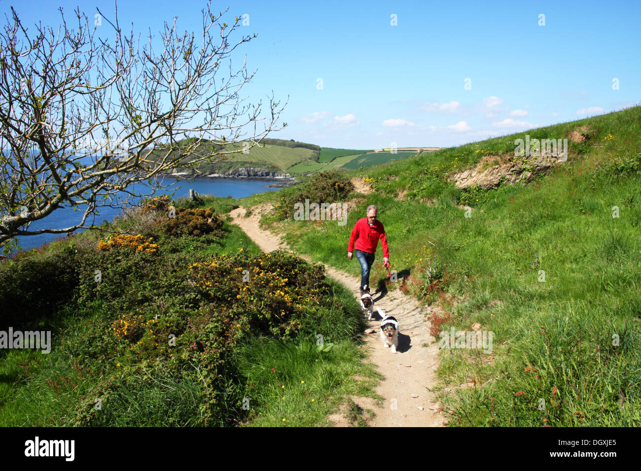 Menabilly fowey cornwall hi-res stock photography and images - Alamy