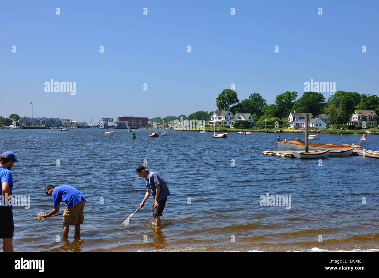 Collecting clams at Mystic Seaport, Connecticut, USA Stock Photo - Alamy