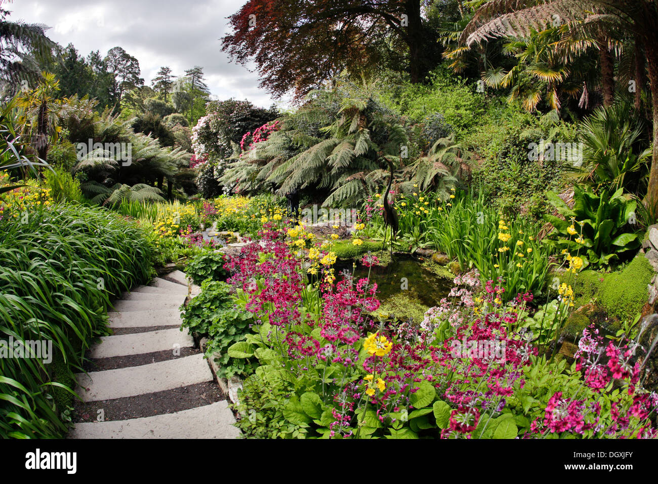 Spring garden uk hi-res stock photography and images - Alamy