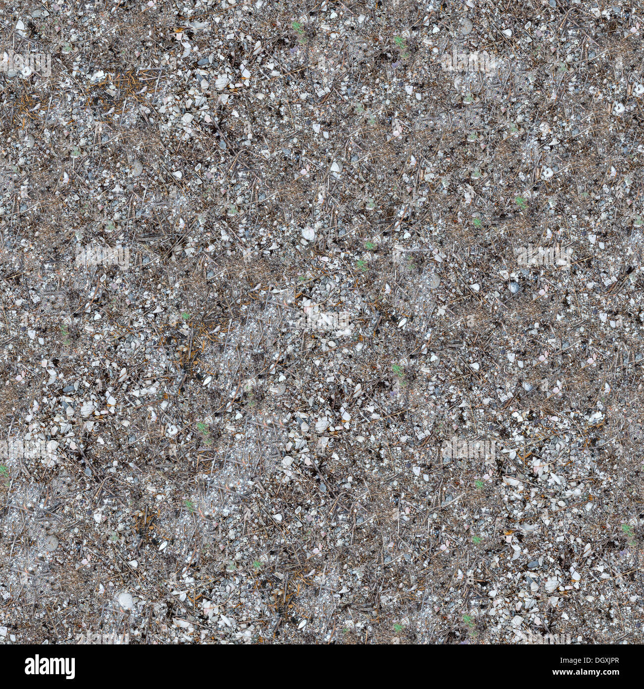 Seamless Texture of Sandy Coastal Land Stock Photo - Alamy