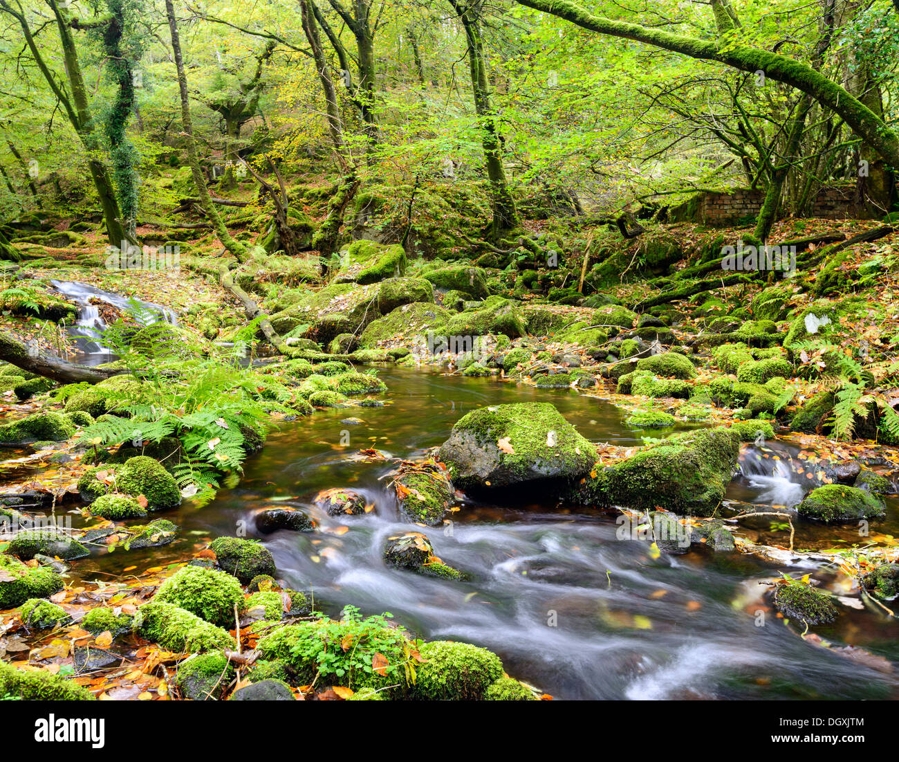 Mossy rocks hi-res stock photography and images - Alamy