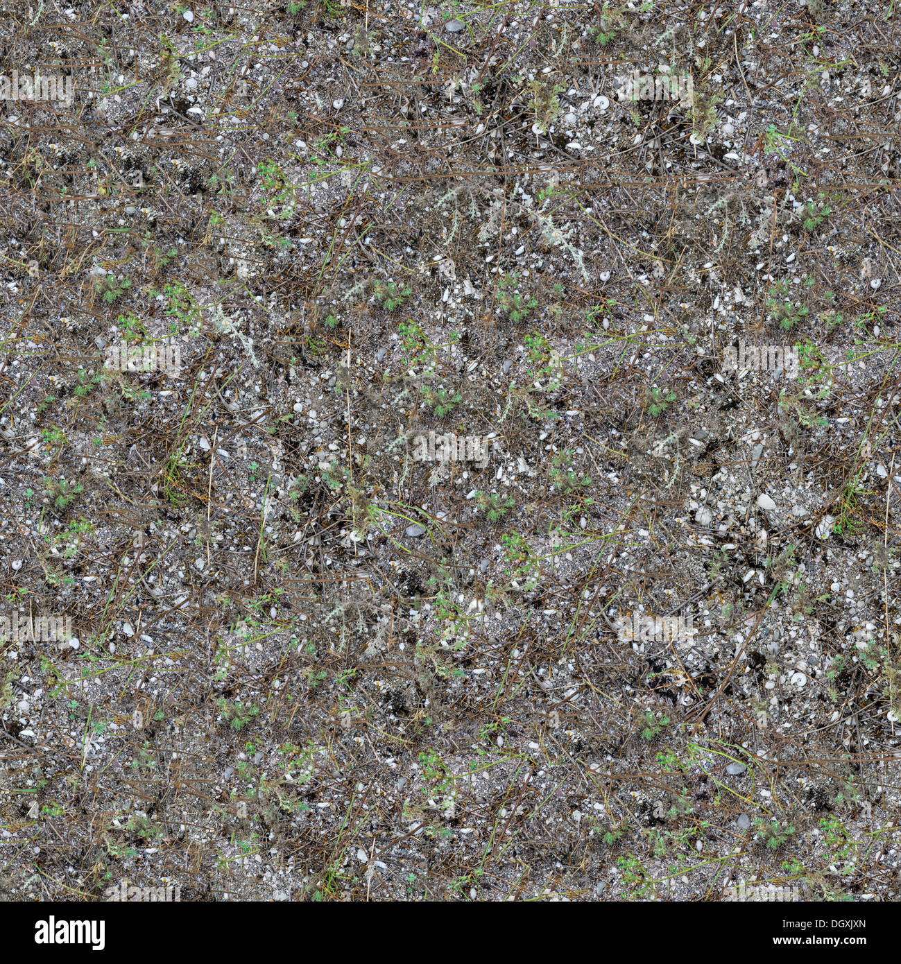 Seamless Texture of Coastal Land Stock Photo - Alamy