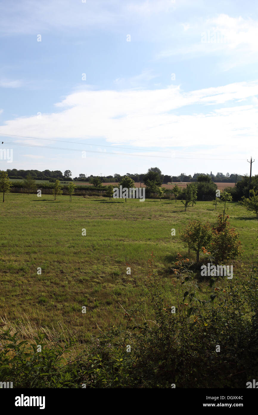 Laxfield hi-res stock photography and images - Alamy