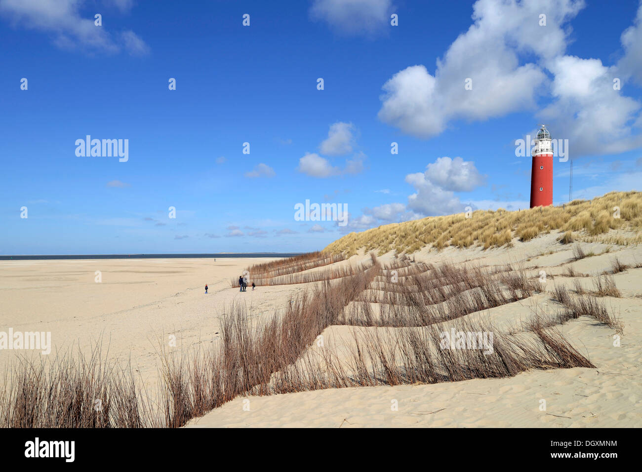 Eierland Lighthouse with dunes, De Cocksdorp, Texel, West Frisian ...