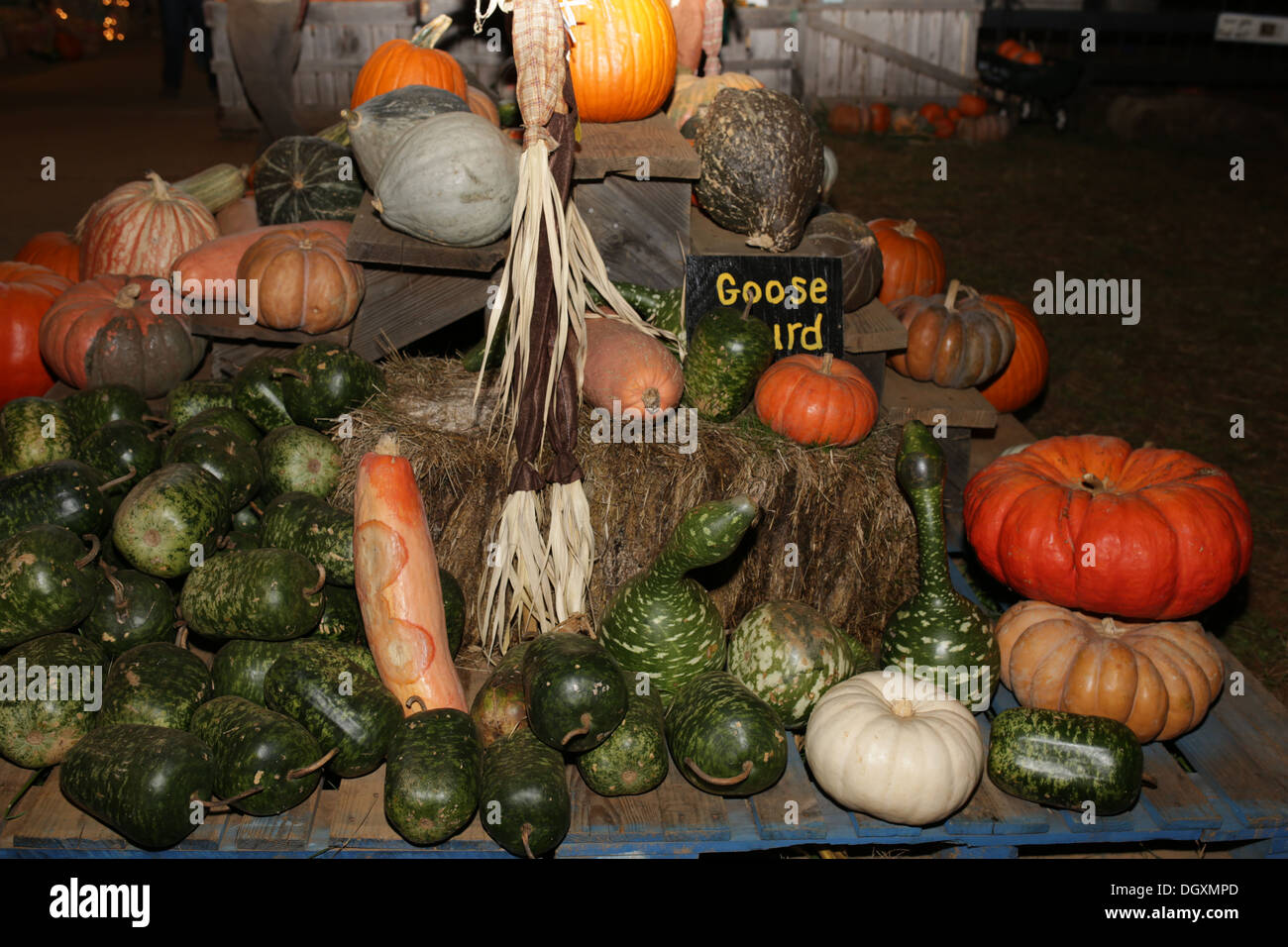 The turd hi-res stock photography and images - Alamy