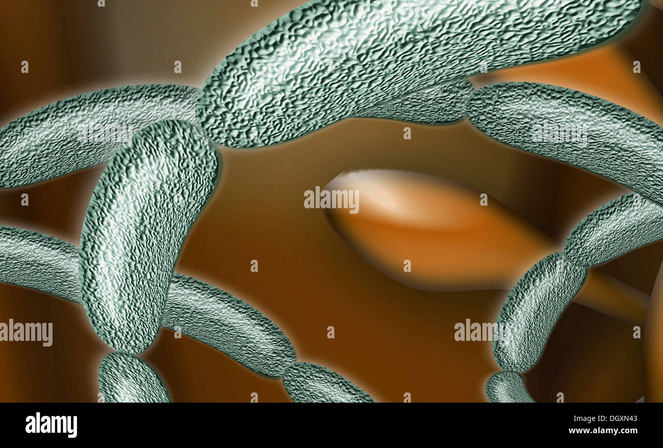 Strung together hi-res stock photography and images - Alamy