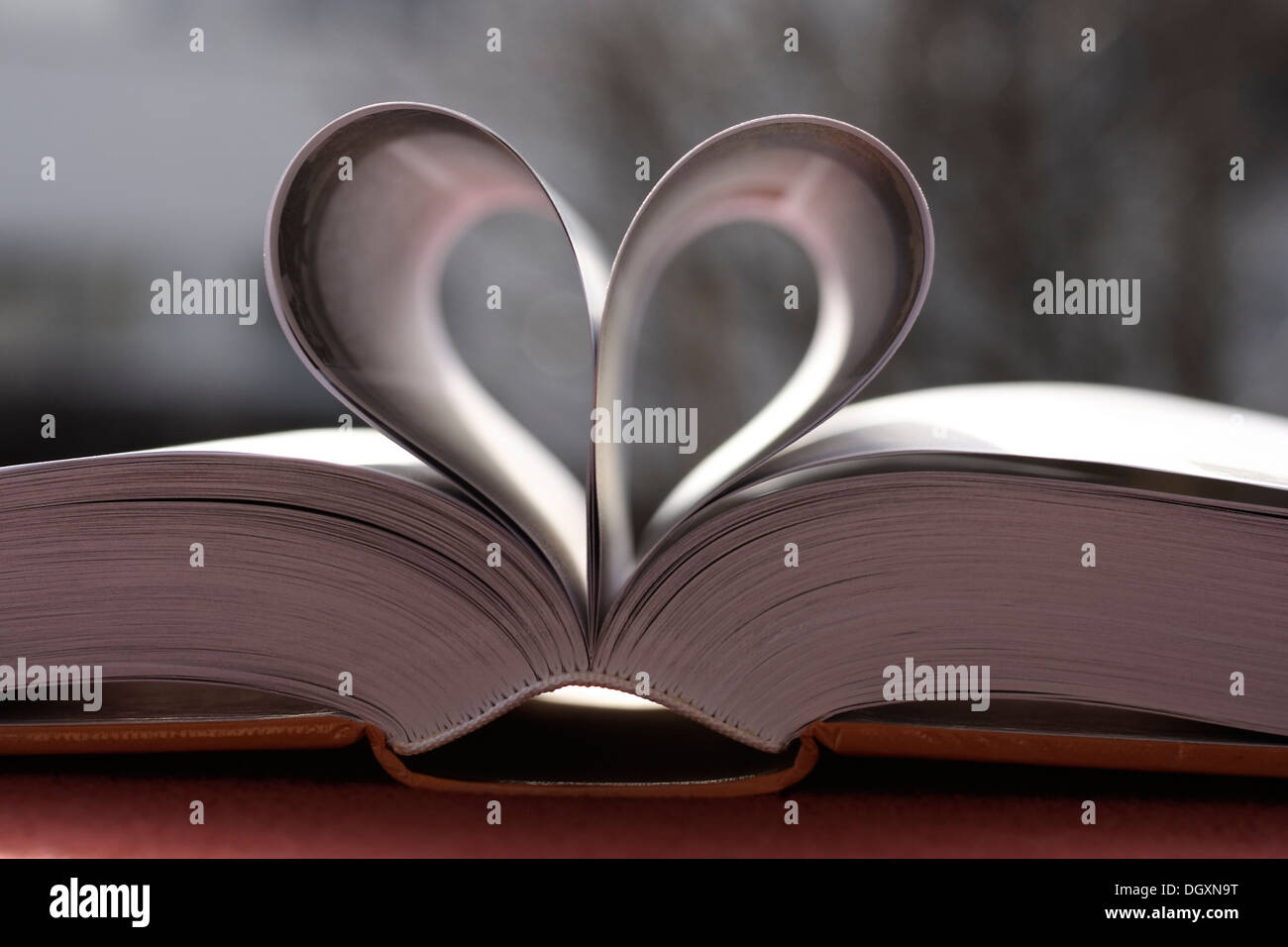 Book pages, heart-shape, love story Stock Photo - Alamy