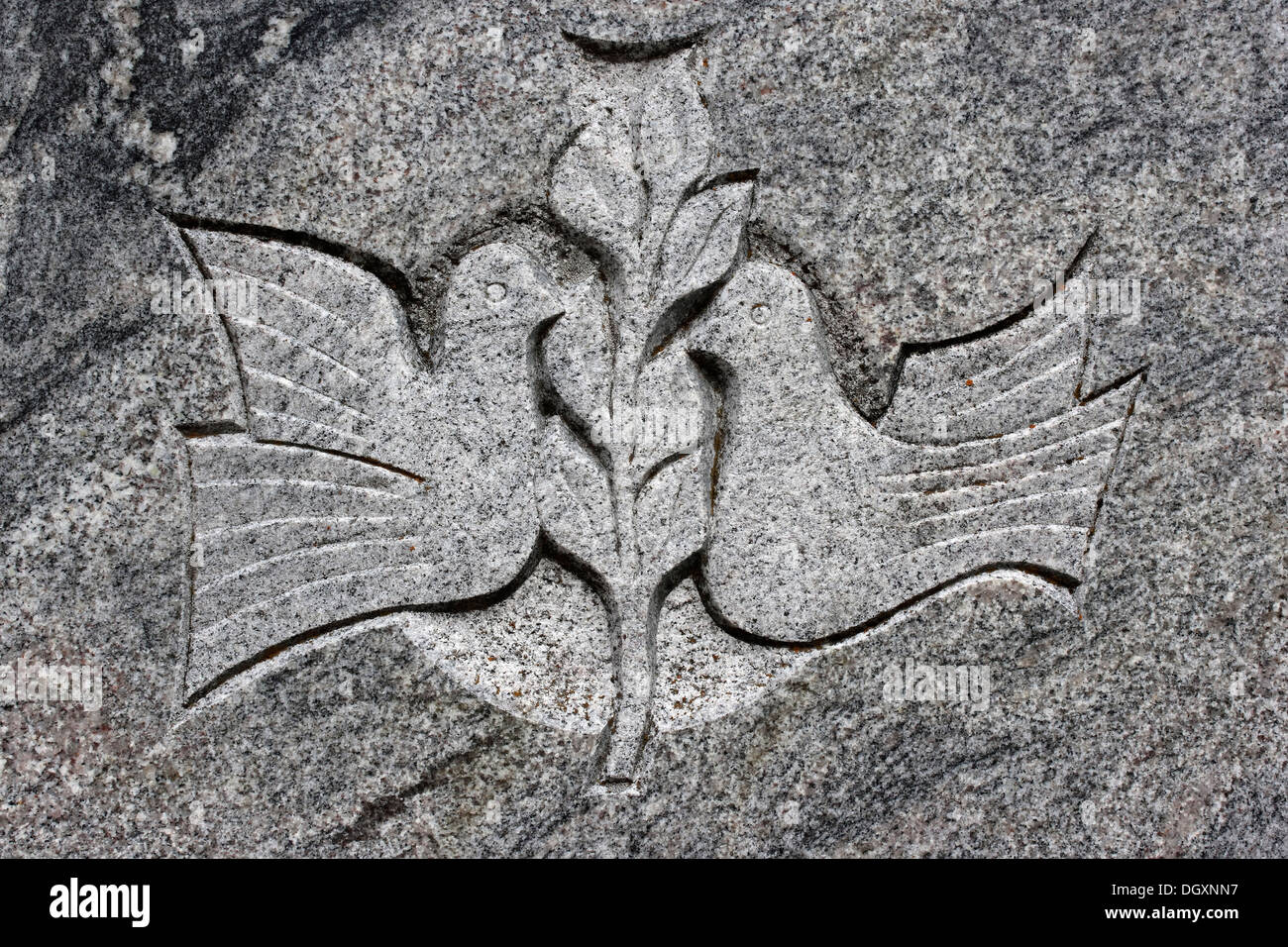 Dove on tombstone hi-res stock photography and images - Alamy