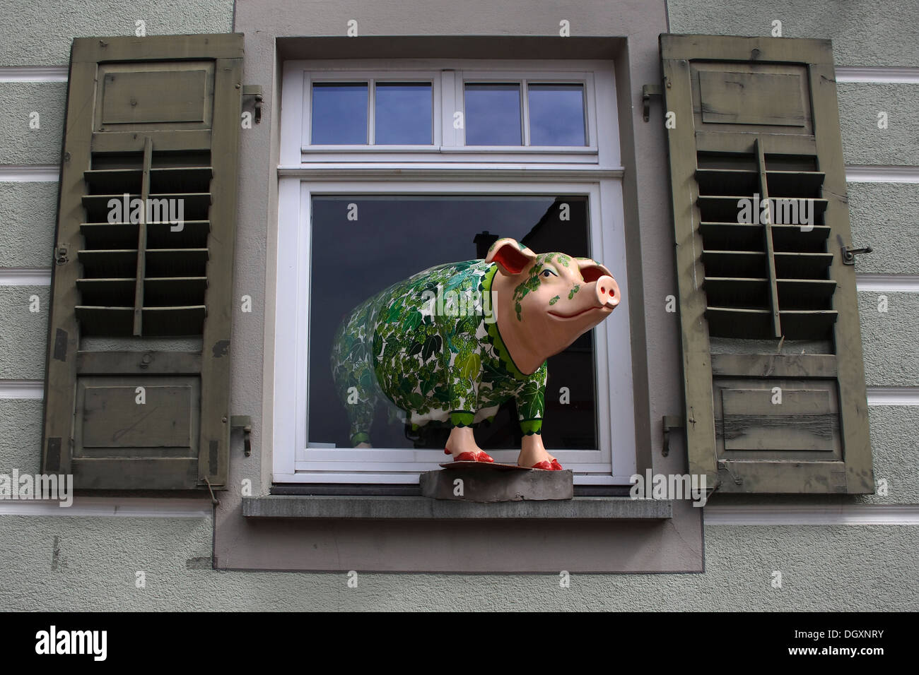 Sculpture of a pig, window, art, Tettnang, Lake Constance Region, Baden ...
