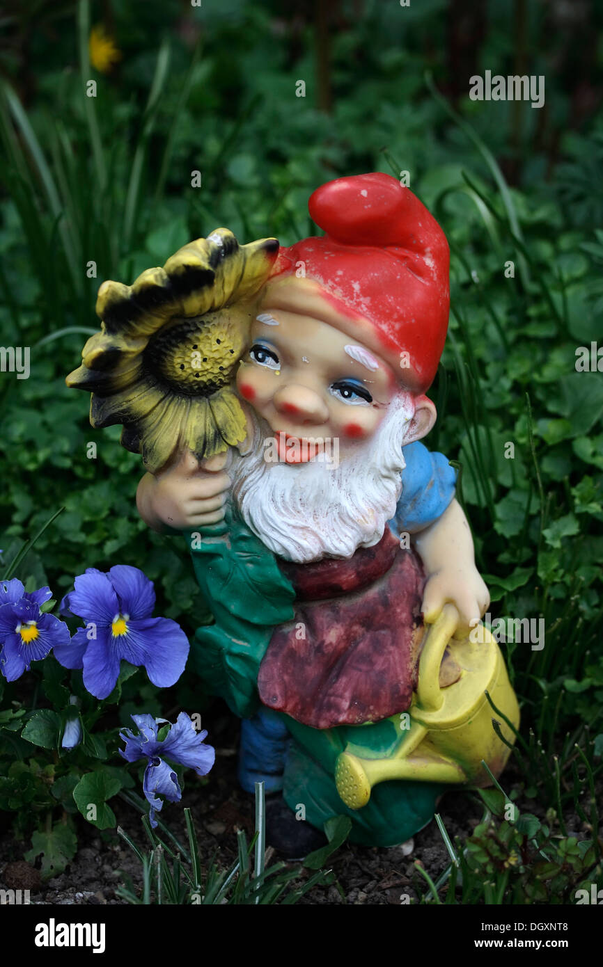 Garden gnome with sunflower Stock Photo - Alamy