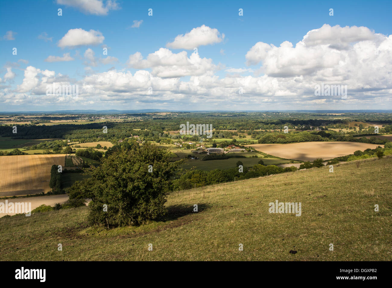 Looking out over Parham Park the Sussex Weald beyond from the South ...