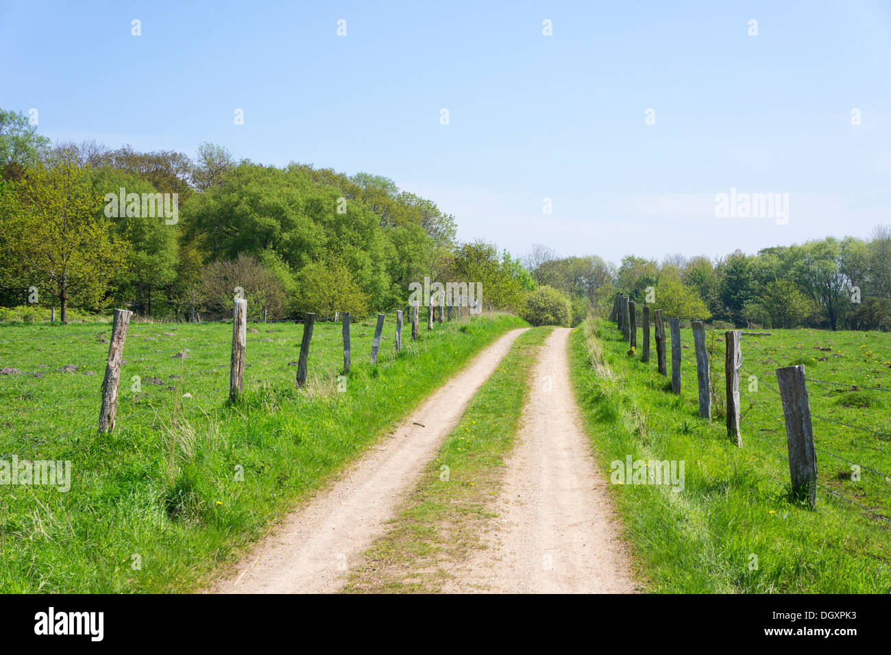 Track through fields in spring, germany Stock Photo - Alamy