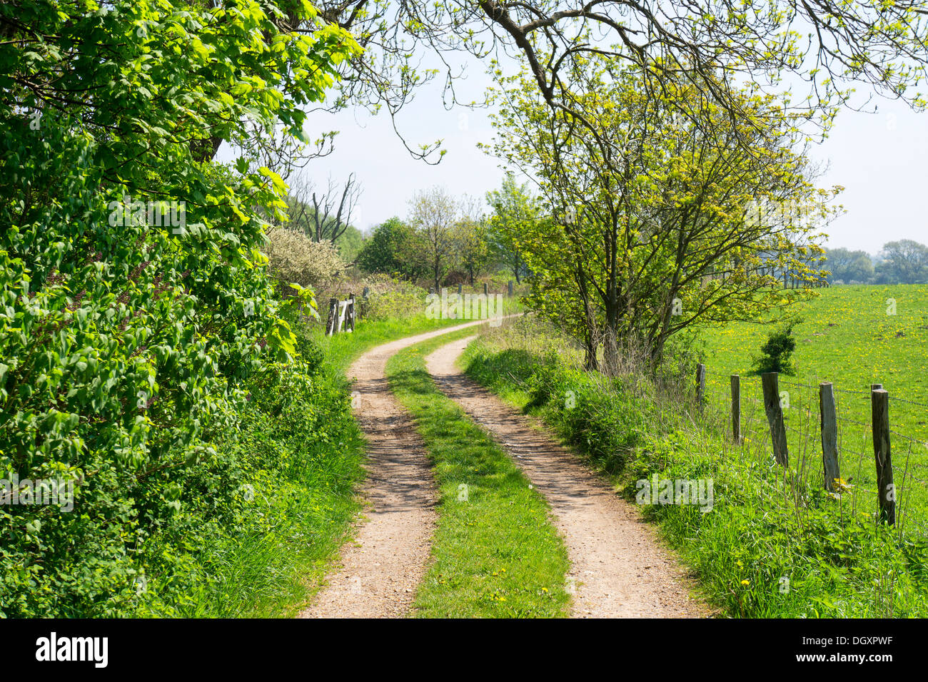 Track through fields in spring, germany Stock Photo - Alamy