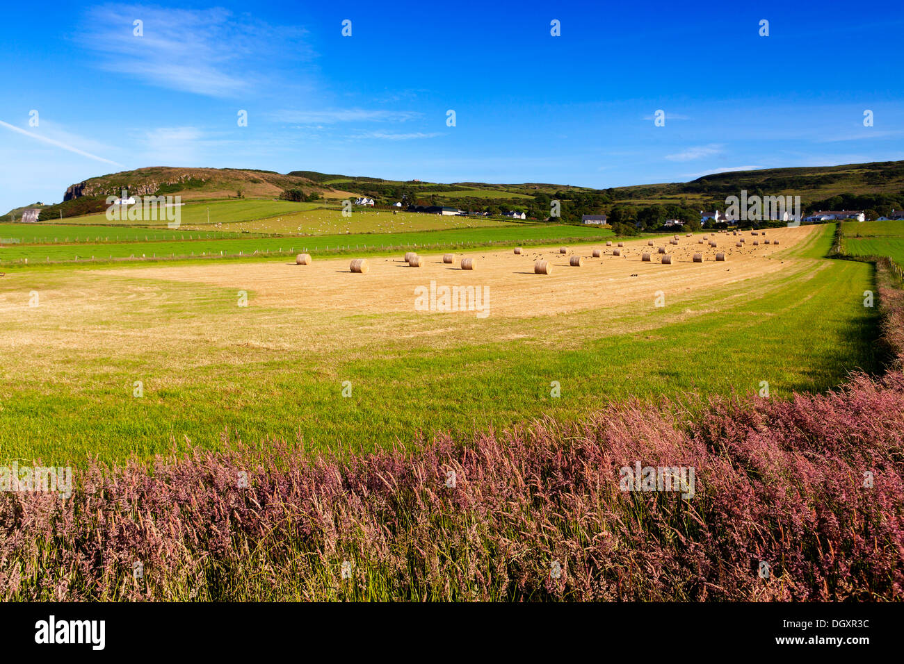 Field county antrim hi-res stock photography and images - Alamy