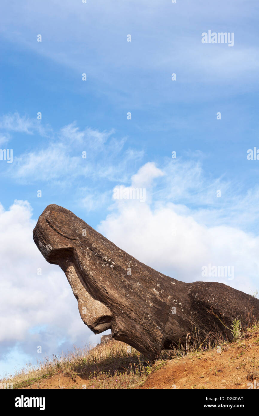 Leaning statue in Rano Raraku moai quarry on Easter Island Stock Photo ...