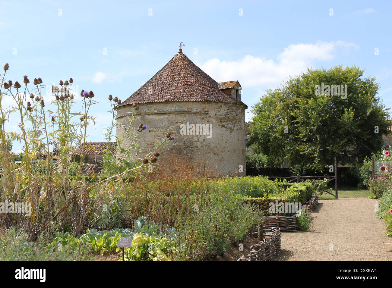 Medieval plants herbs hi-res stock photography and images - Alamy