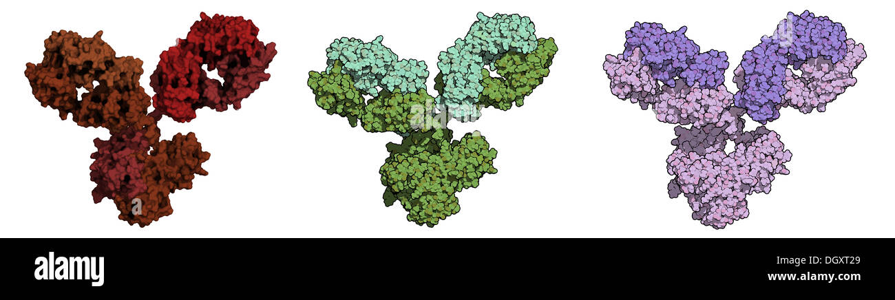 Abciximab hi-res stock photography and images - Alamy