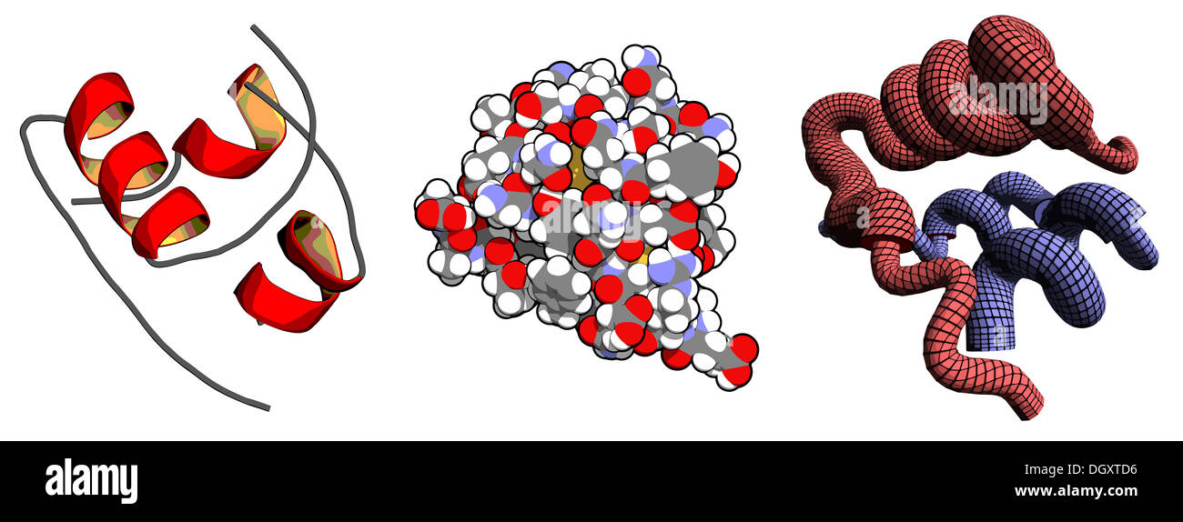 Insulin peptide hormone, chemical structure. Important drug in ...