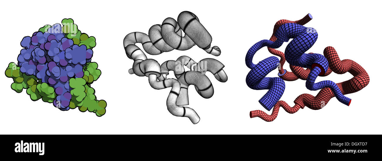 Insulin peptide hormone, chemical structure. Important drug in ...