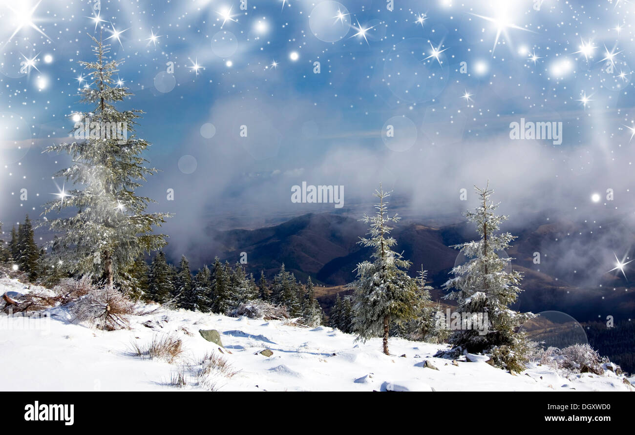 Christmas background with silver snowy fir trees Stock Photo - Alamy