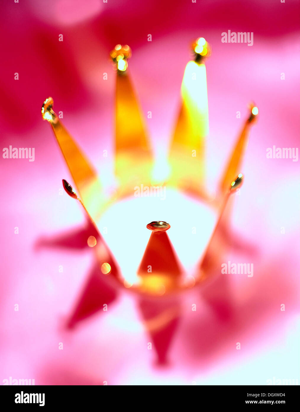 Princess crown hi-res stock photography and images - Alamy