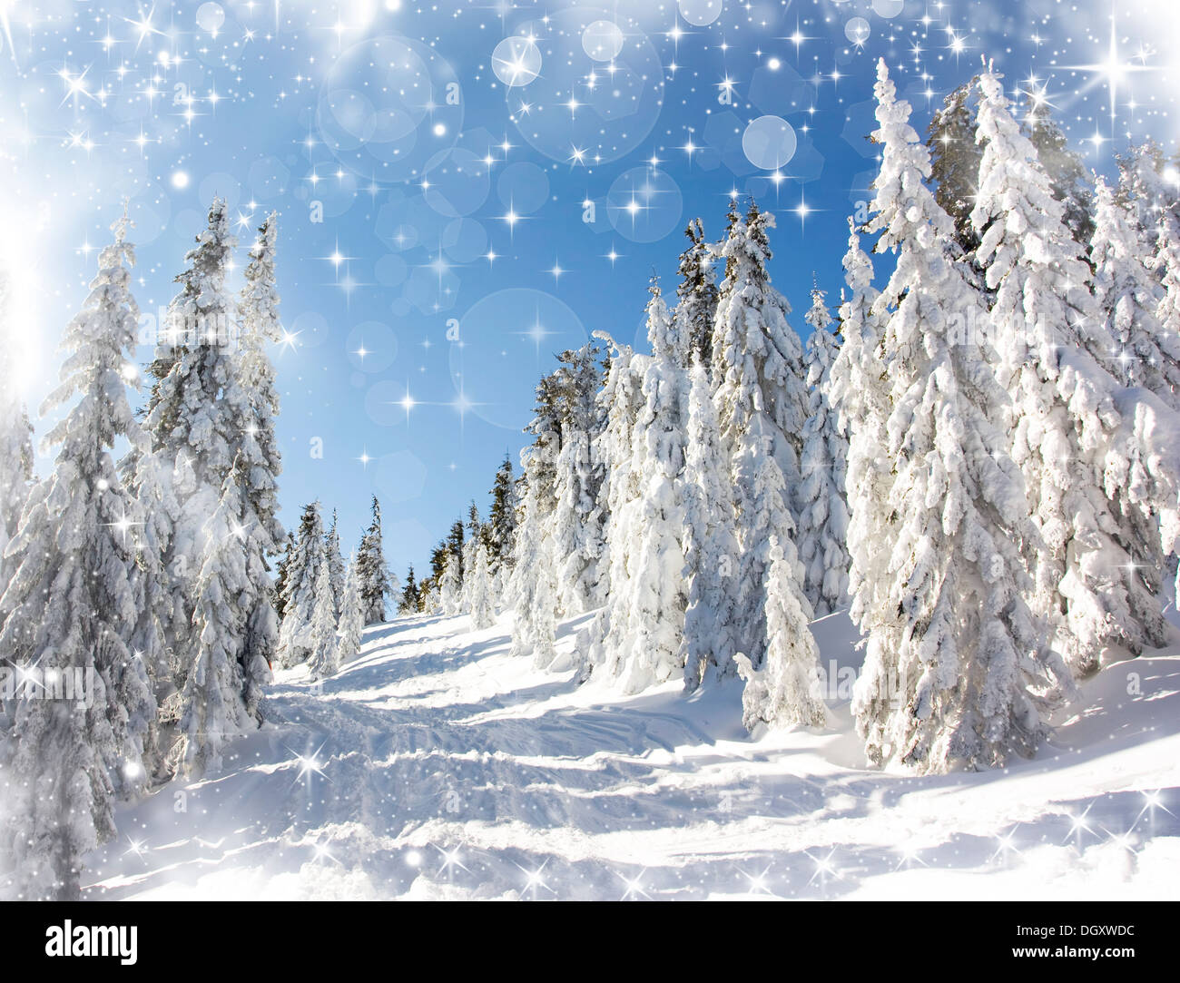 Christmas background with silver snowy fir trees Stock Photo - Alamy