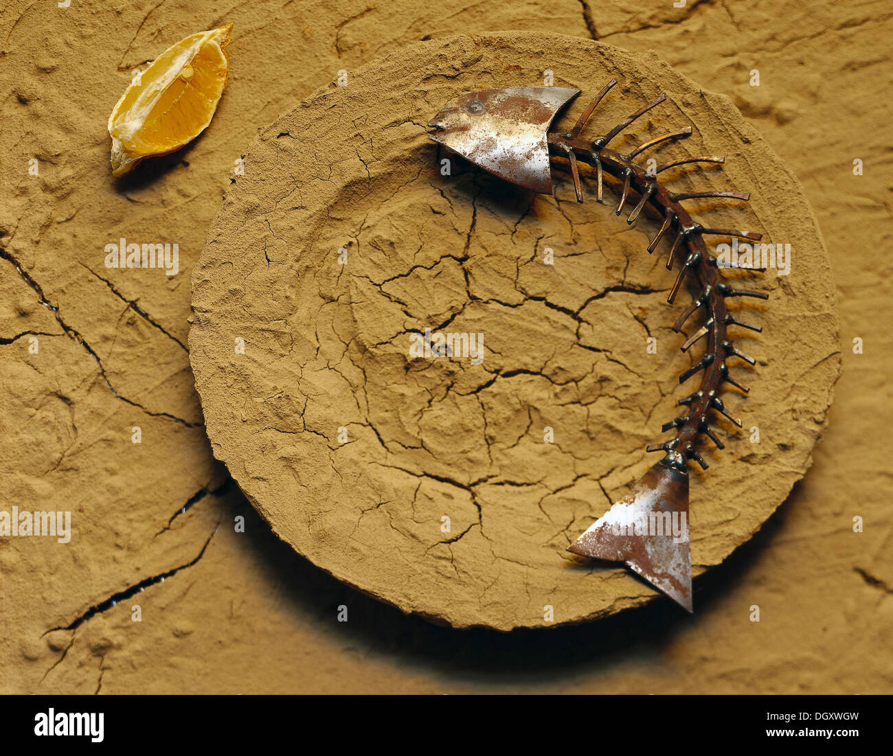 Fish skeleton hi-res stock photography and images - Alamy