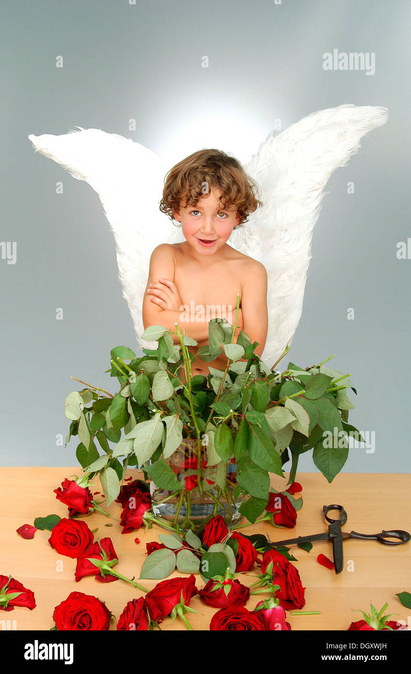 Boy angel wings after cutting hi-res stock photography and images - Alamy