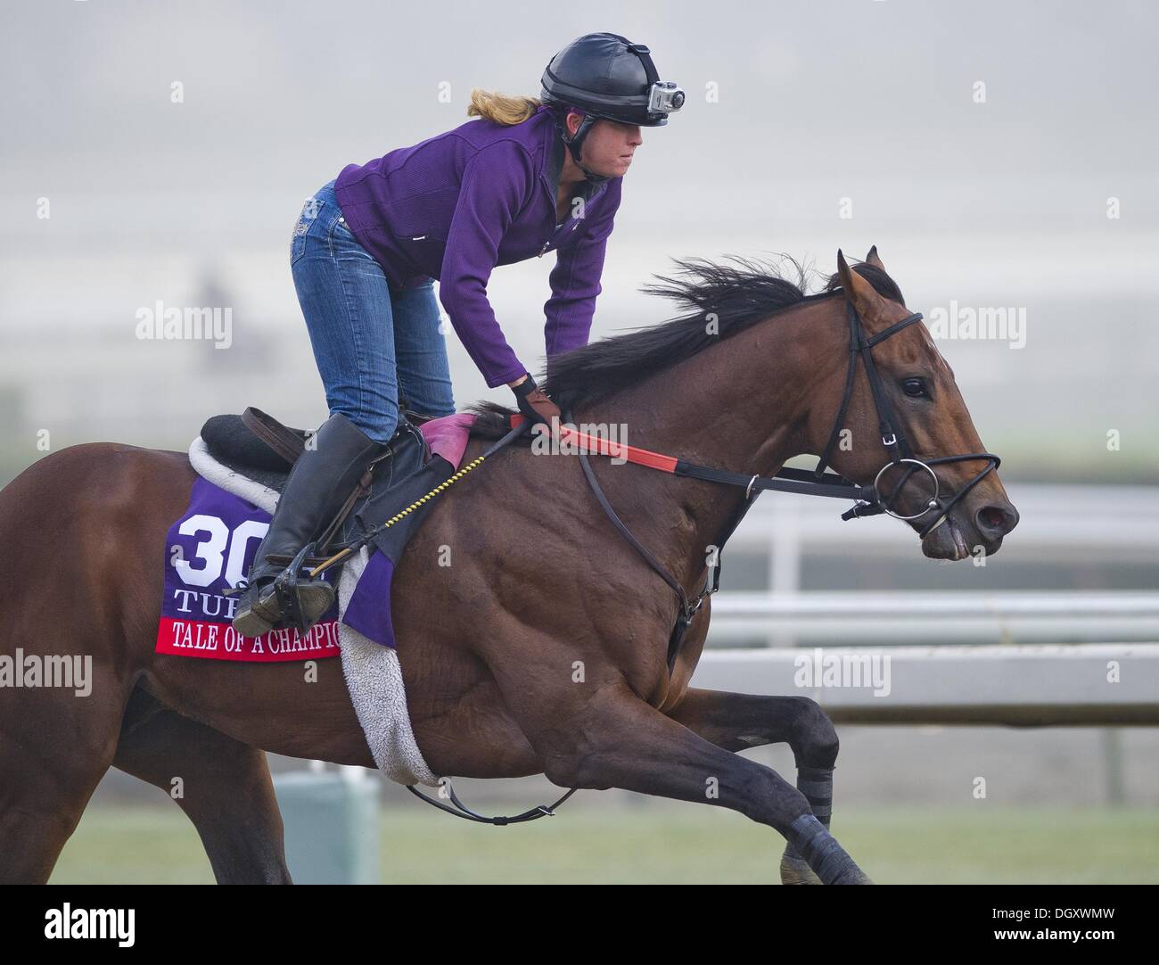 Arcadia, California, USA. 27th Oct, 2013. Tale of a Champion, trained ...