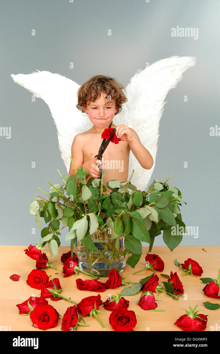Boy with angel wings, cutting the heads off a bouquet of roses with a ...