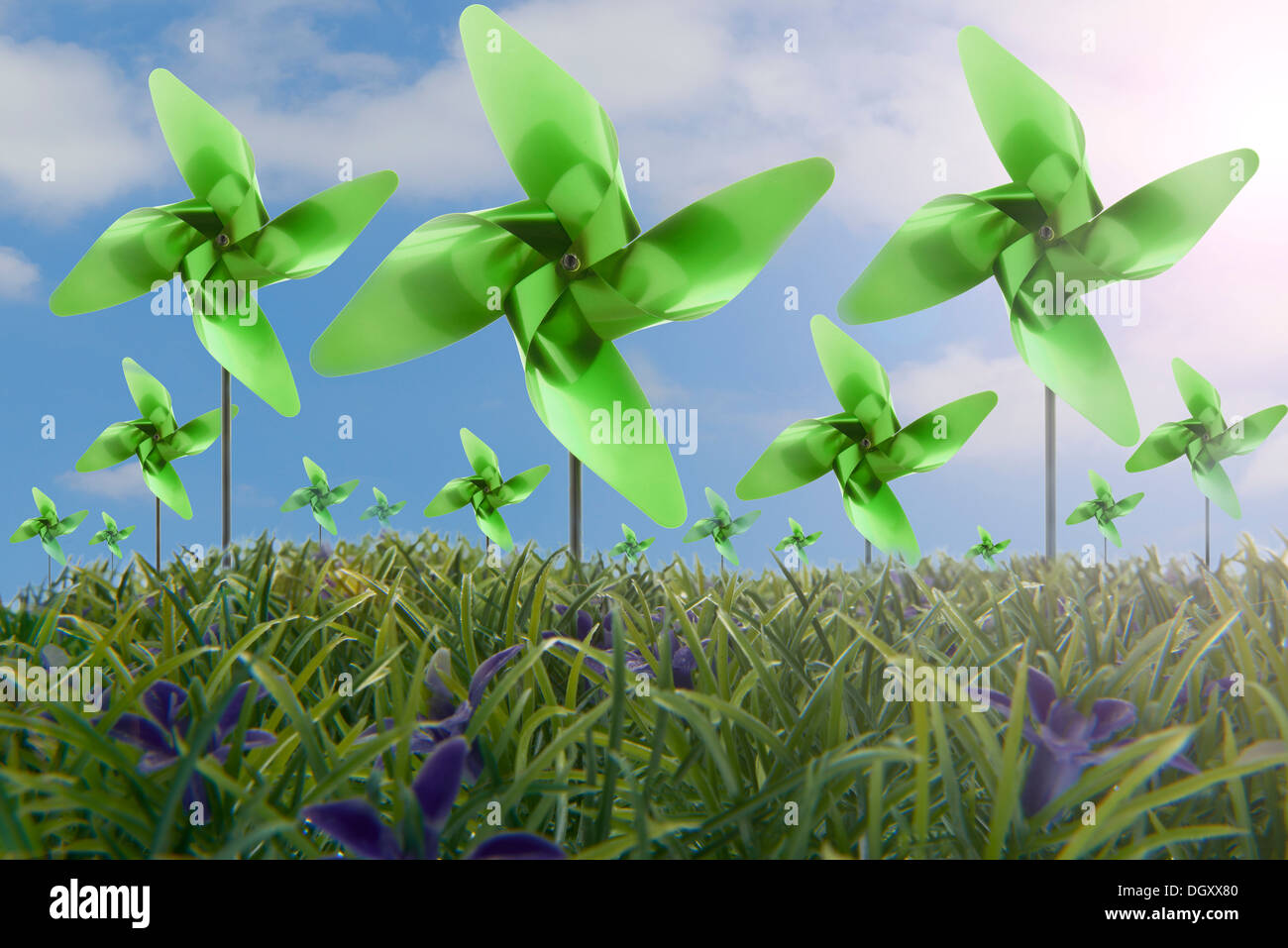 Green pinwheels on a green meadow Stock Photo - Alamy
