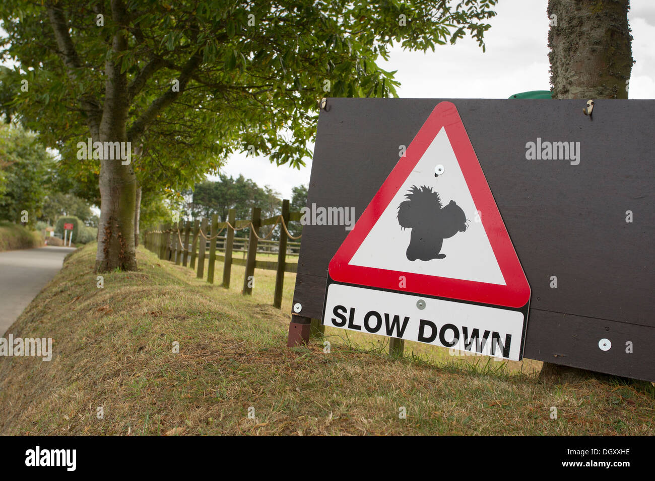 Squirrel warning sign hi-res stock photography and images - Alamy