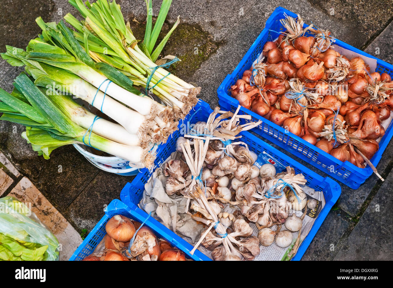 Leeks market hi-res stock photography and images - Alamy