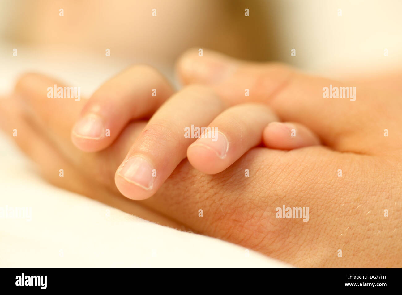 Palliative care (from Latin palliare, to cloak) is an area of ...