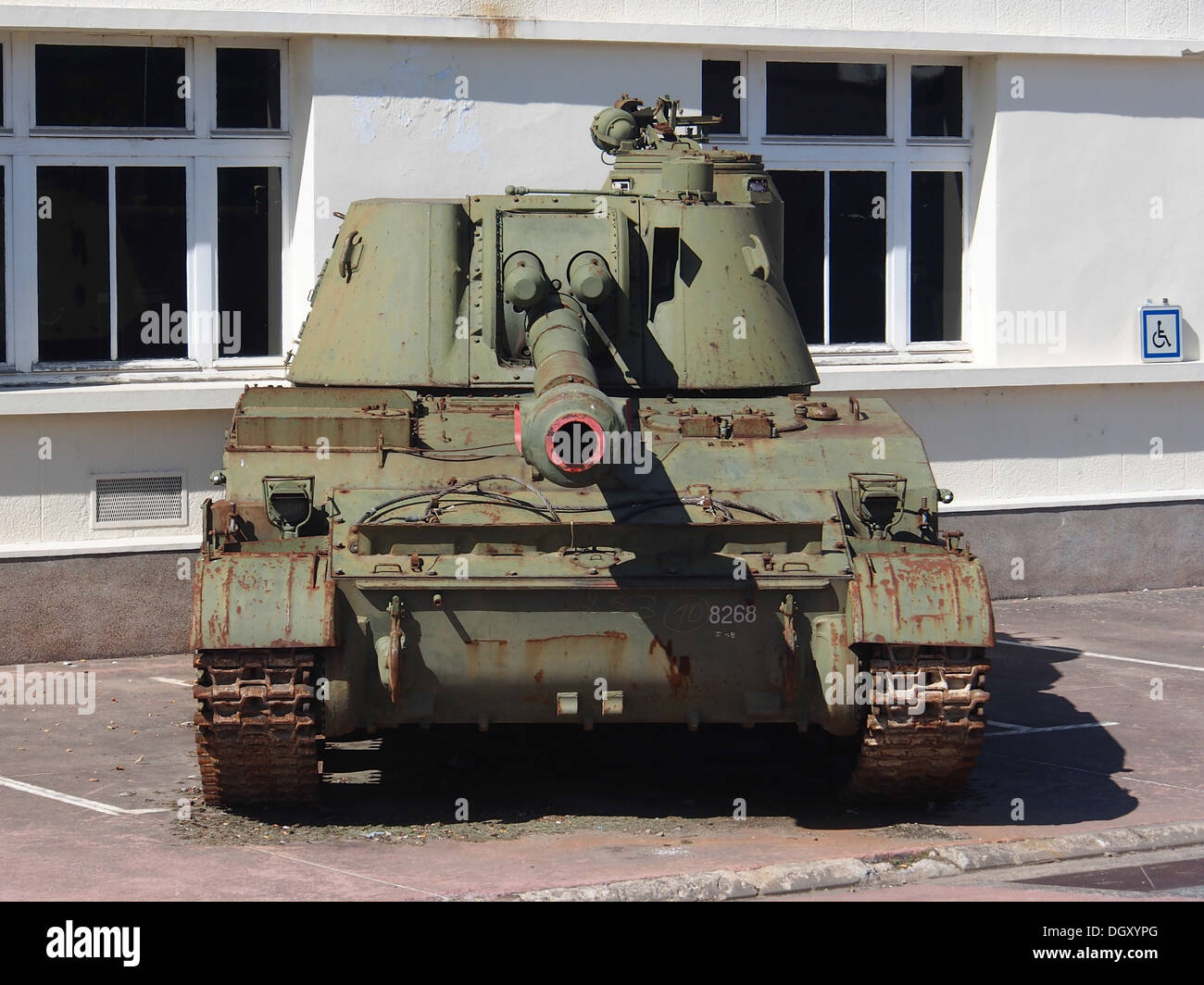 Akatsiya hi-res stock photography and images - Alamy