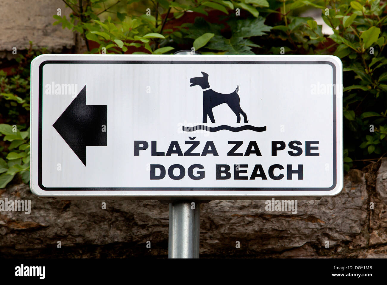 Dogs on beaches hi-res stock photography and images - Alamy