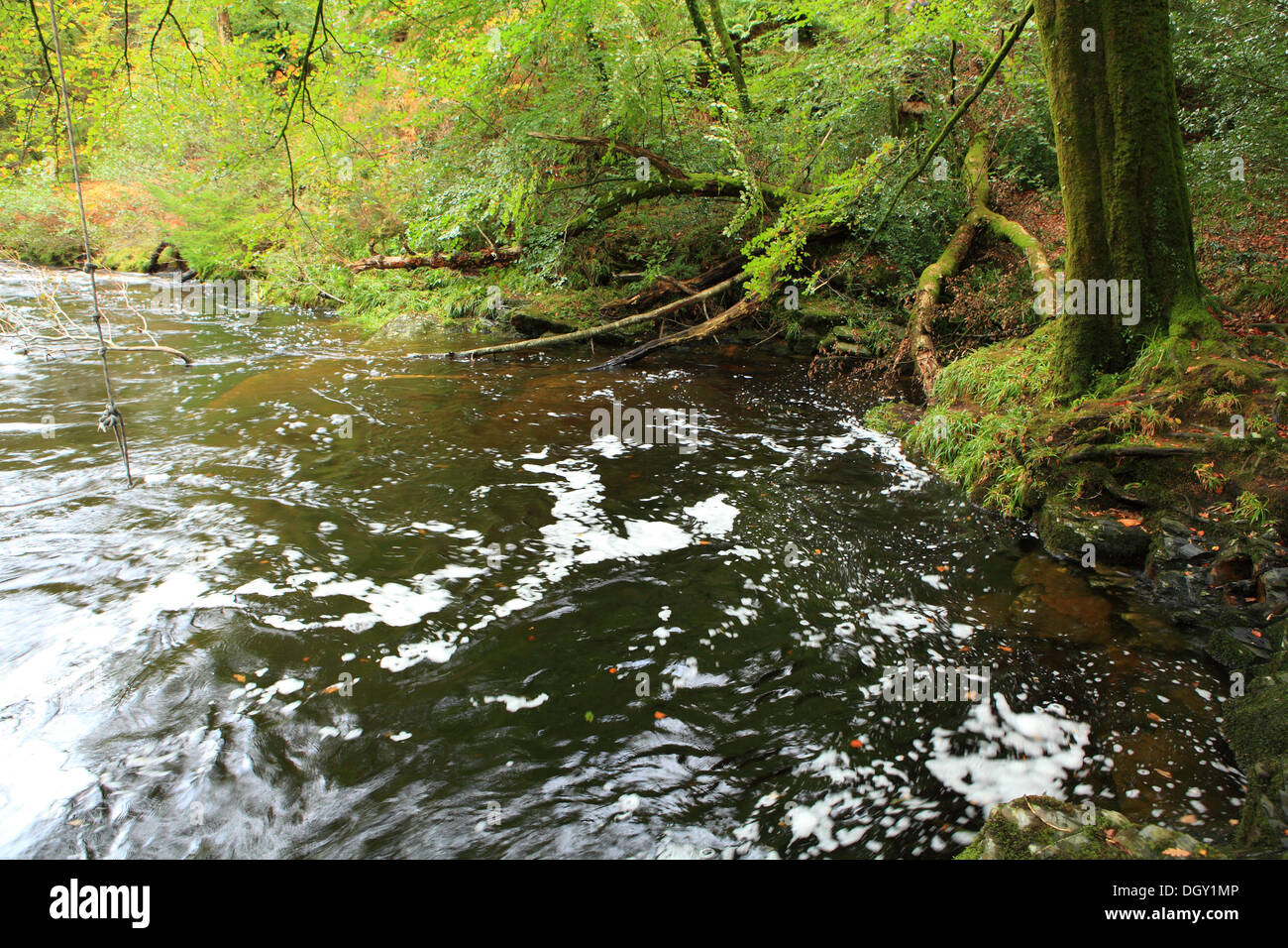Dart holne autumn river granite rocks hi-res stock photography and ...