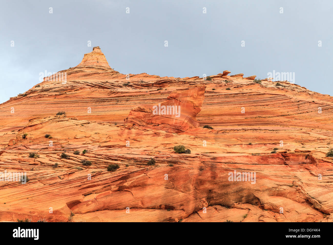Landscape of stone desert, Coyote Buttes North, Arizona, USA Stock ...