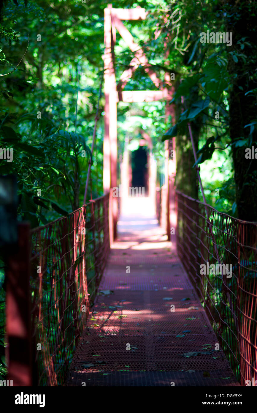 Monteverde bridge hi-res stock photography and images - Alamy