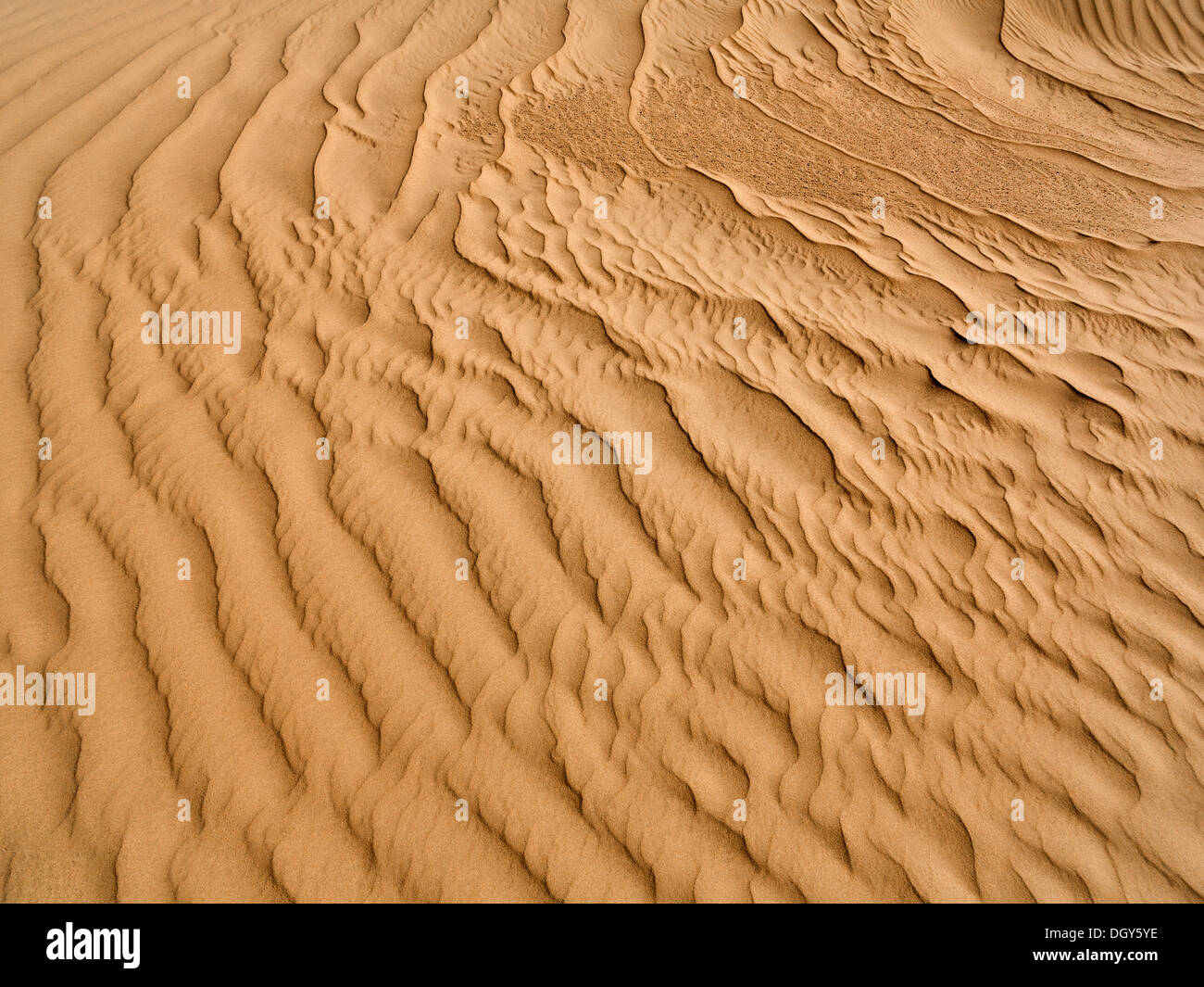 Close up of desert floor showing wind created texture Stock Photo - Alamy