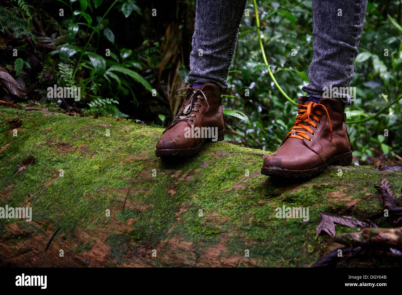 Shot of a woman's shoes standing on a Long tree log at the Santa Elena ...
